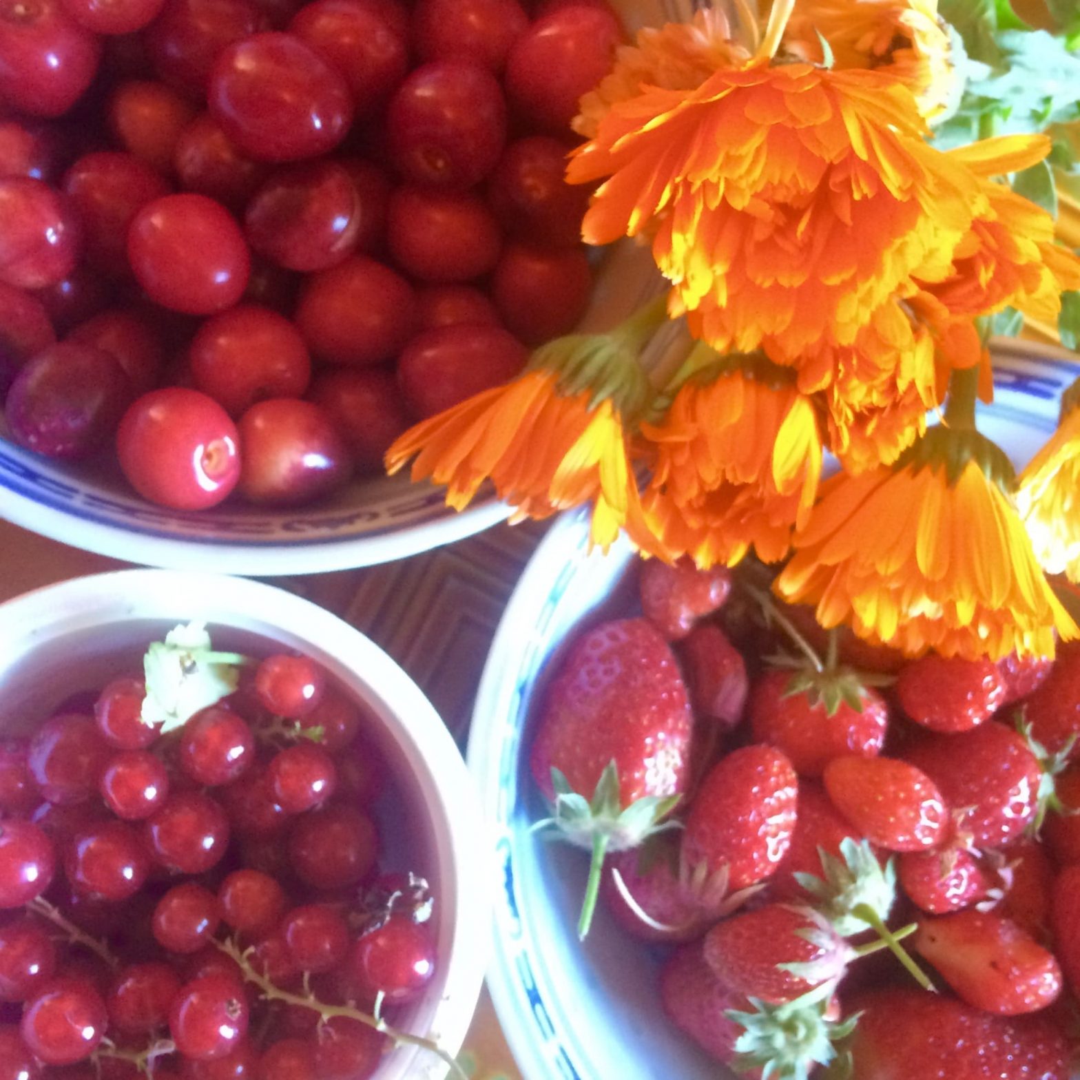 SimPleManGeCalendrier des fruits et légumes de saison en août