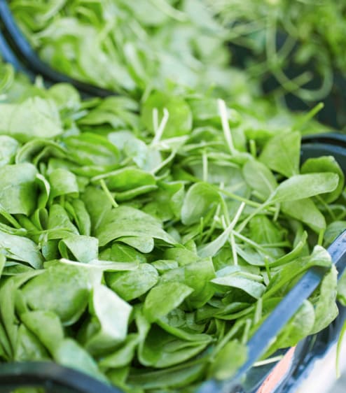 SimPleManGemache-legume-saison-decembre